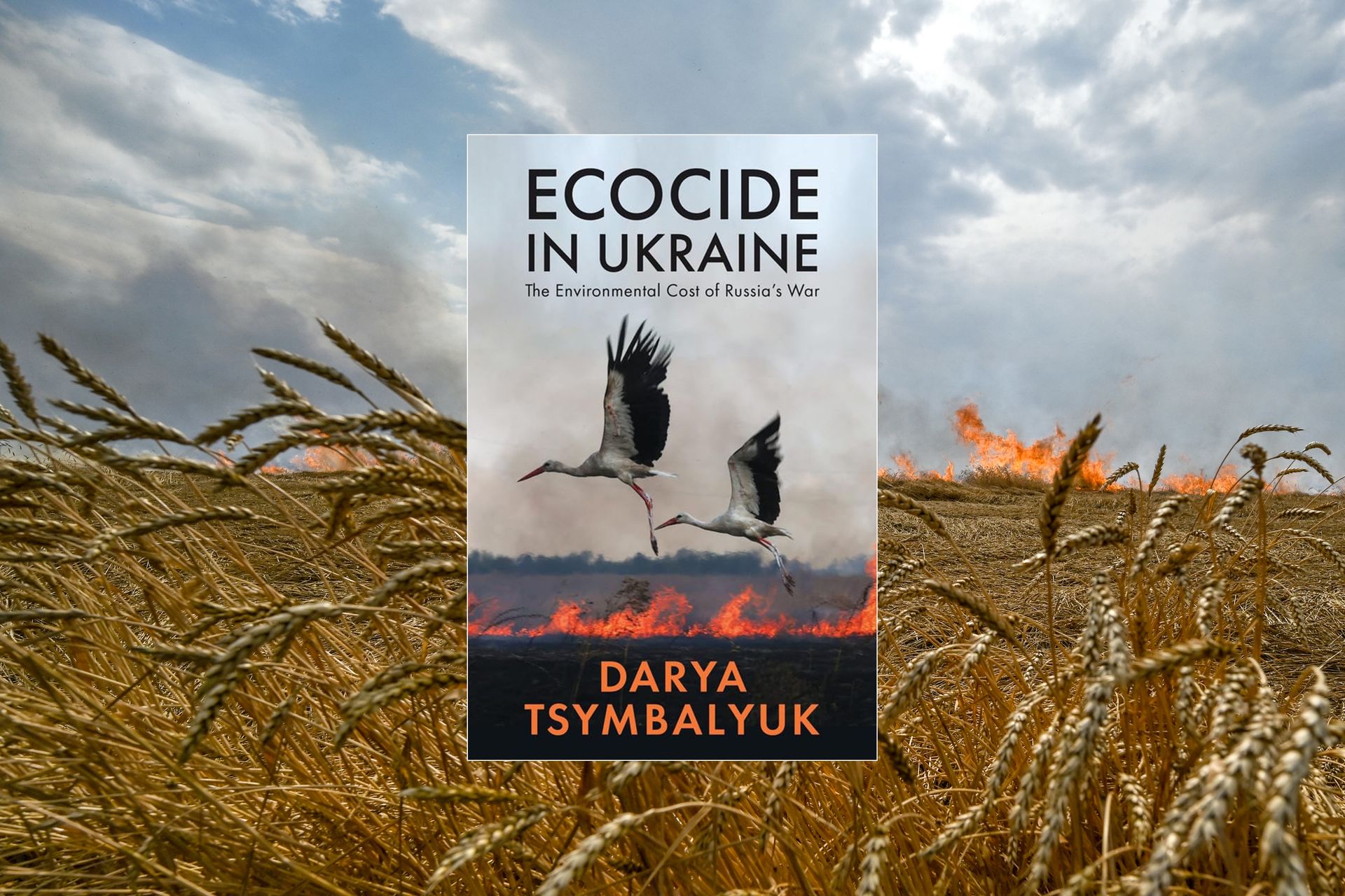 New book exposes Russia’s ecocide as a war against Ukraine’s land – and ...